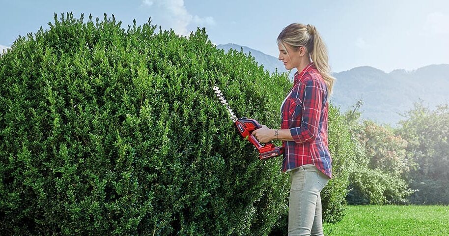 Garden art at home: Perfect topiary for your shrubs | Einhell Blog