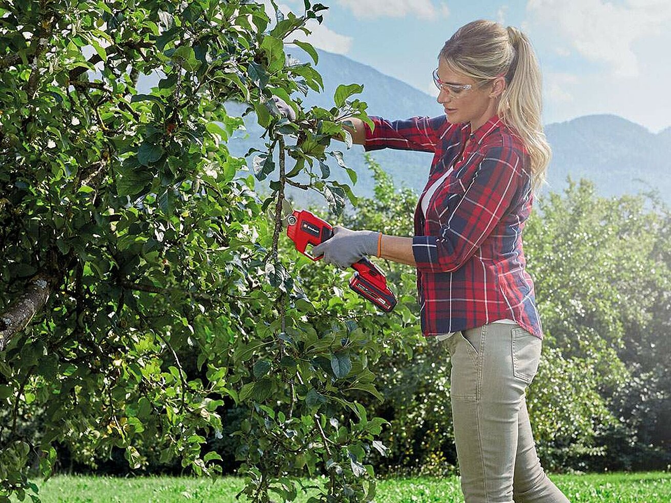 Energy-saving tree and hedge-cutting | Einhell Blog