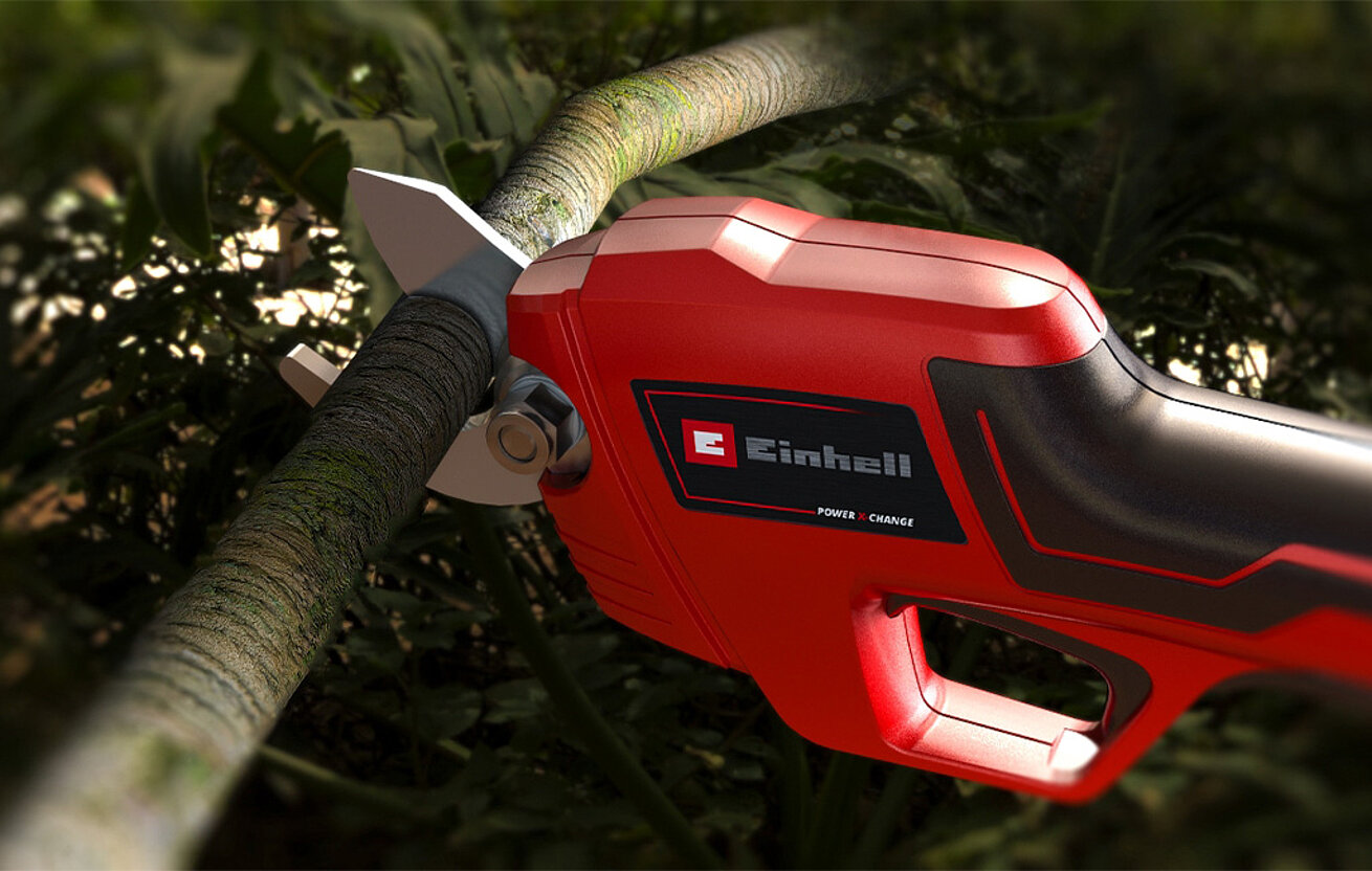 Pruning Fruit Trees: Tips and Guide | Einhell Blog