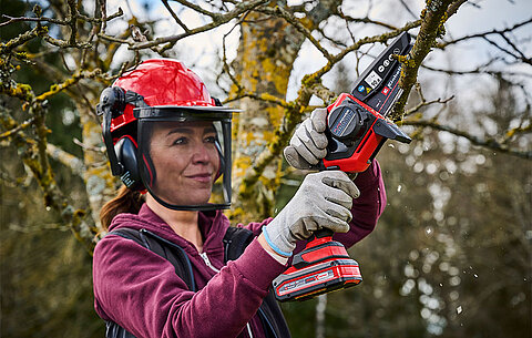 Pruning Fruit Trees: Tips and Guide | Einhell Blog